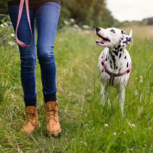 Top Term-time only jobs